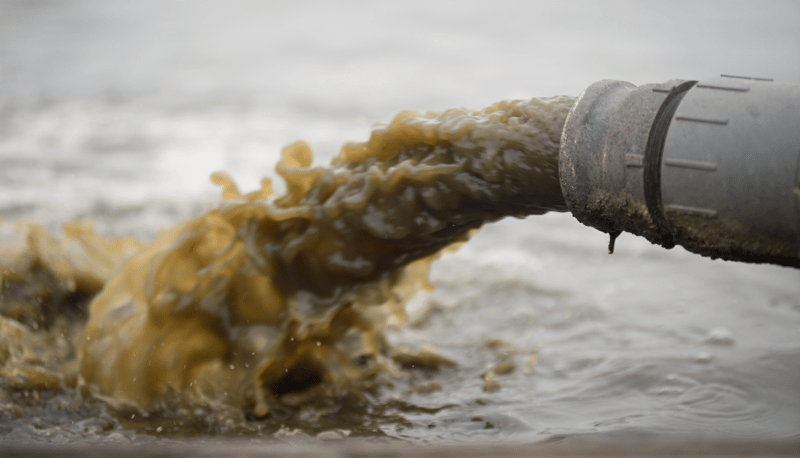 Understanding the Basics: What is Water Pollution?