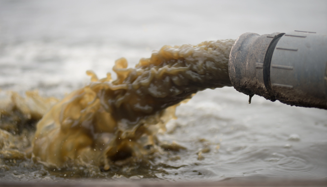 Understanding the Basics: What is Water Pollution?